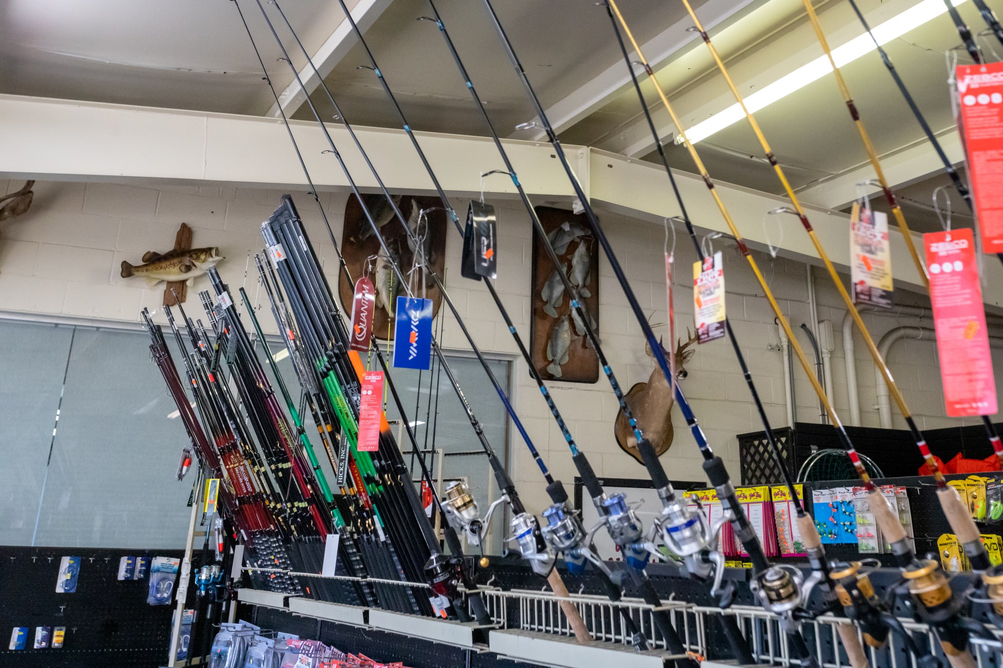 Lake Marion Fishing Guides vs. Going Solo: Which Is Better for Your ...